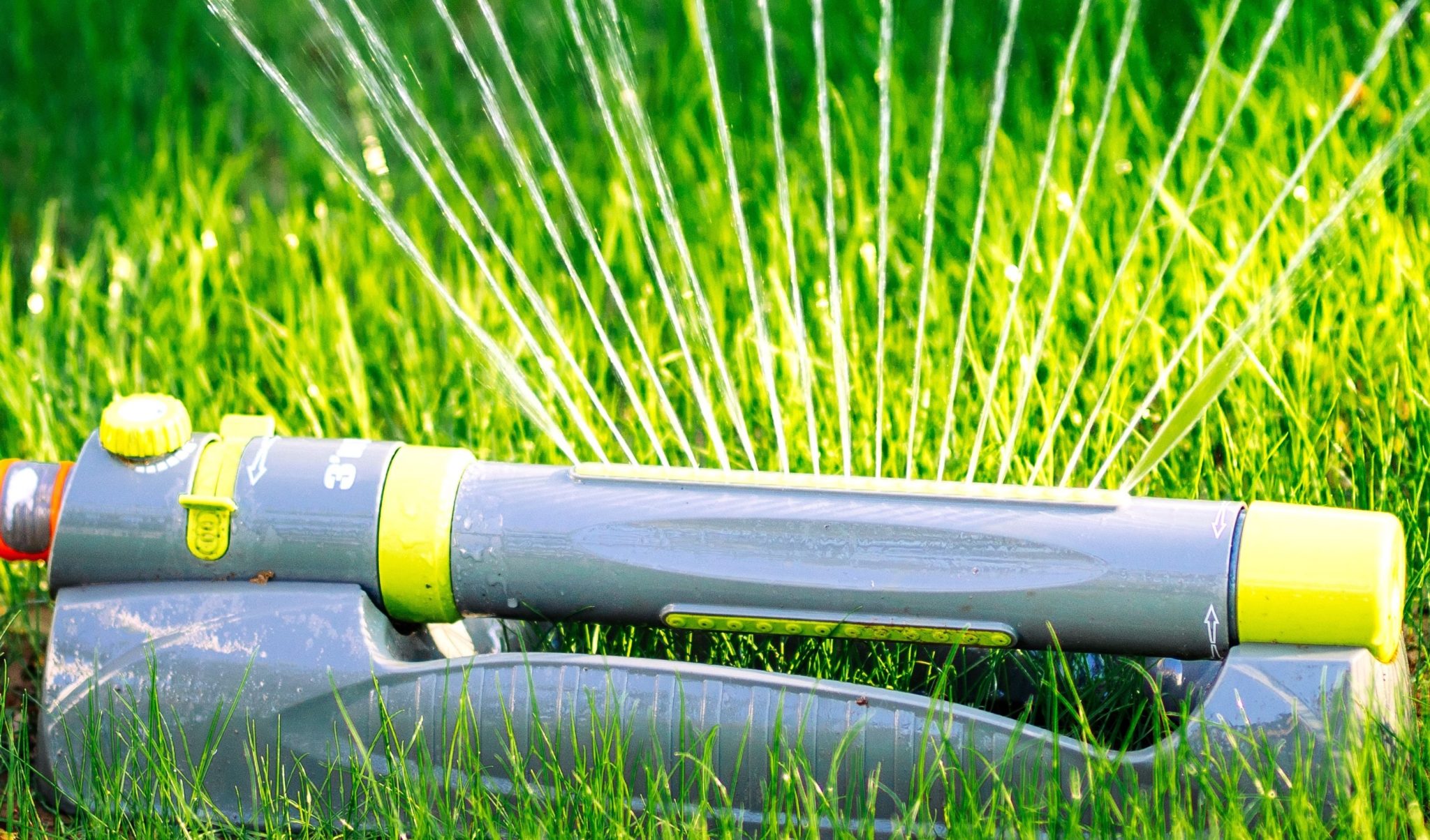 Pest Control in Bedford - Euless - Irving - Grapevine - Southlake ...